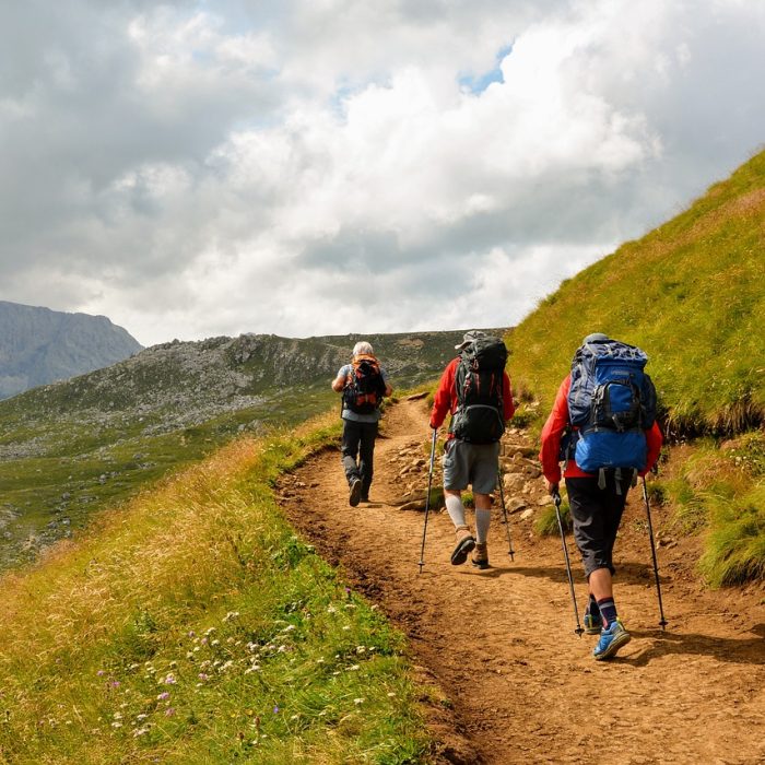 What is Trail Riding? Trailing Riding a Horse - Hikeandbackpack